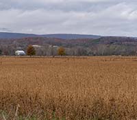 Home | Pendleton Community Bank